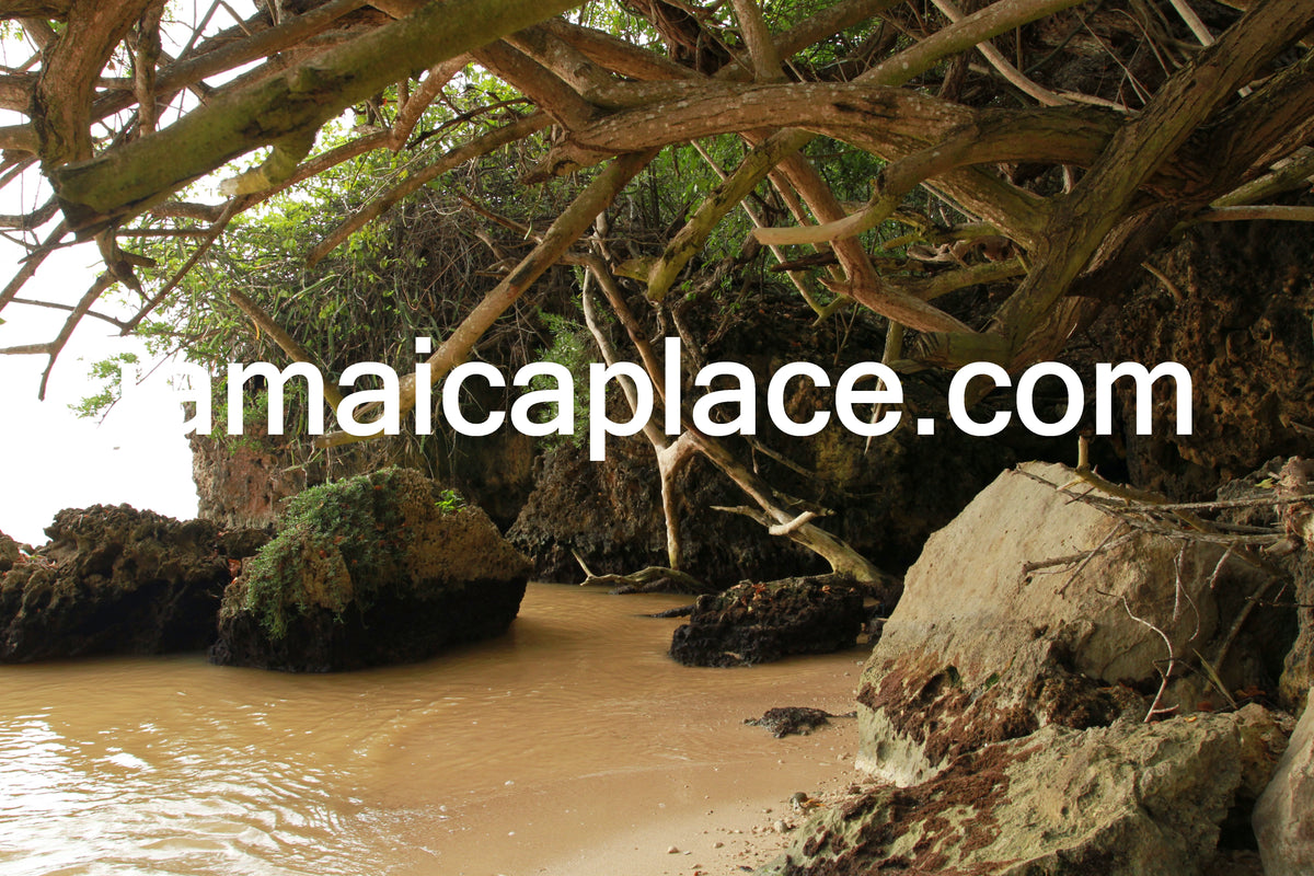 Photo: Trelawny Cove – JamaicaPlace.Com
